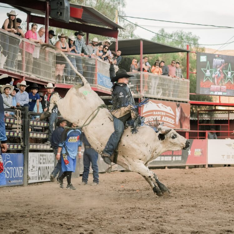 Continúa la fiesta del rodeo en Tijuana - Avance Noticias